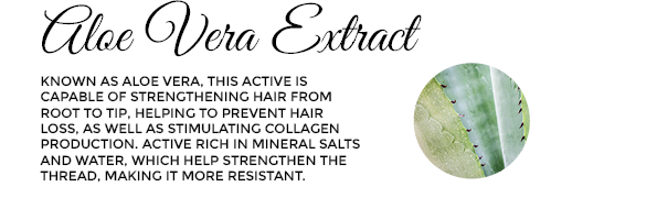 ACTIVES | HQ Professional